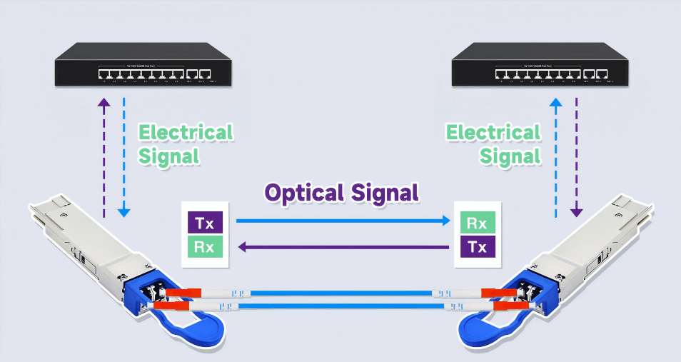 Data Center Optical Transceivers: From 1G to 800G Guide